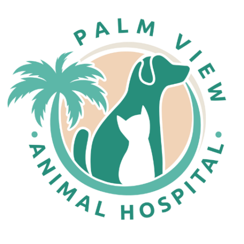 About Palm View Animal Hospital | Vet in Miramar, FL